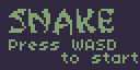 Classic Snake game without walls.
